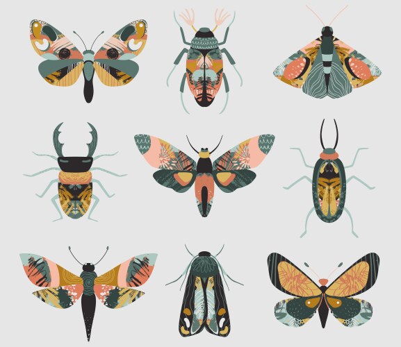 Insect flat icons set Royalty Free Vector Image