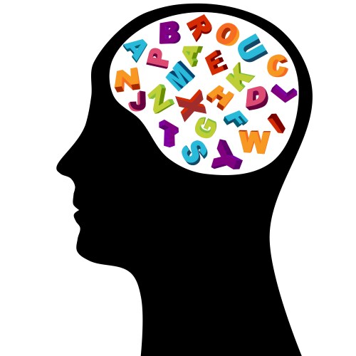 Man with brain Royalty Free Vector Image - VectorStock