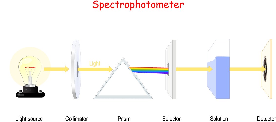 Visible Light Spectrum Vector Images (over 790)
