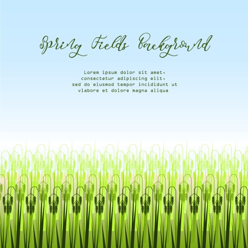 Rice Terraces Vector Images (over 430)