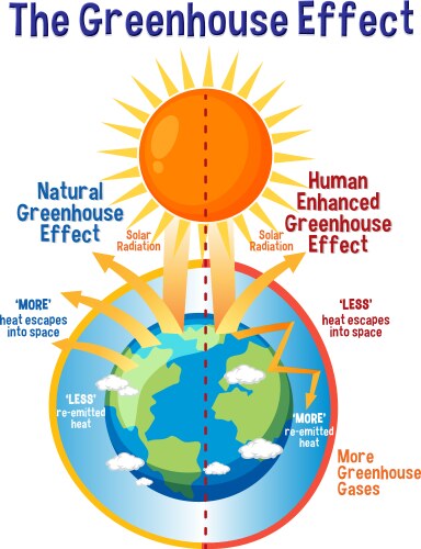 Greenhouse Effect Diagram – Climate Change – Royalty-Free Vector | VectorStock