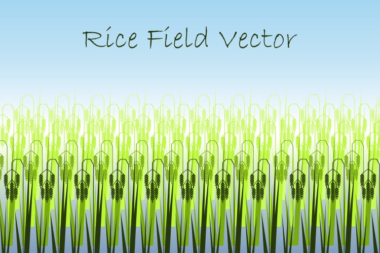 Rice Paddy Vector Images (over 1,700)