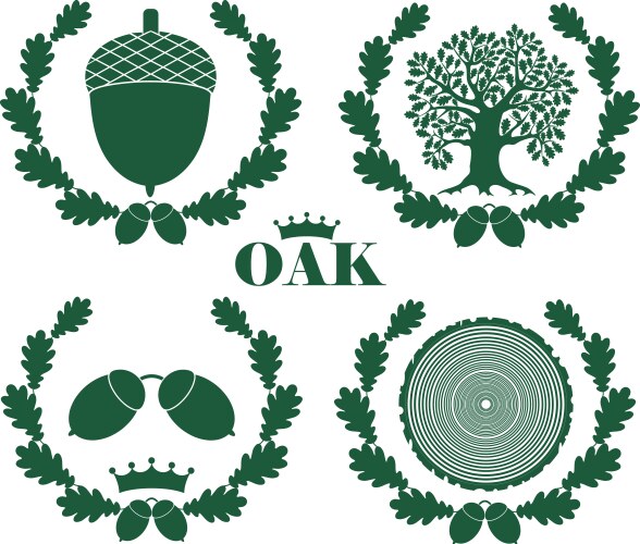 Oak Tree Vector Images (over 58,000)