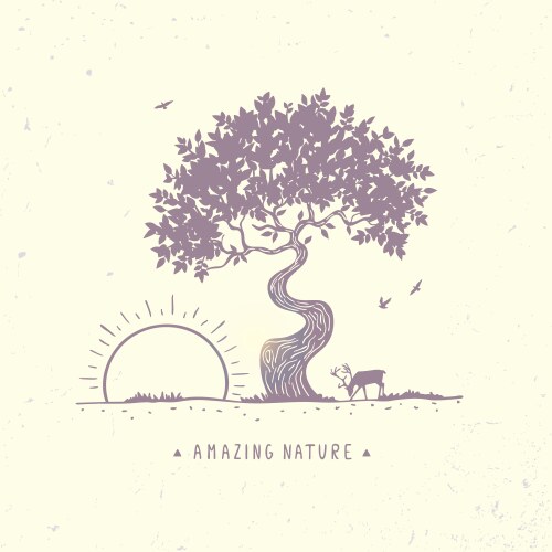 Dawn Vector Images (over 15,000)