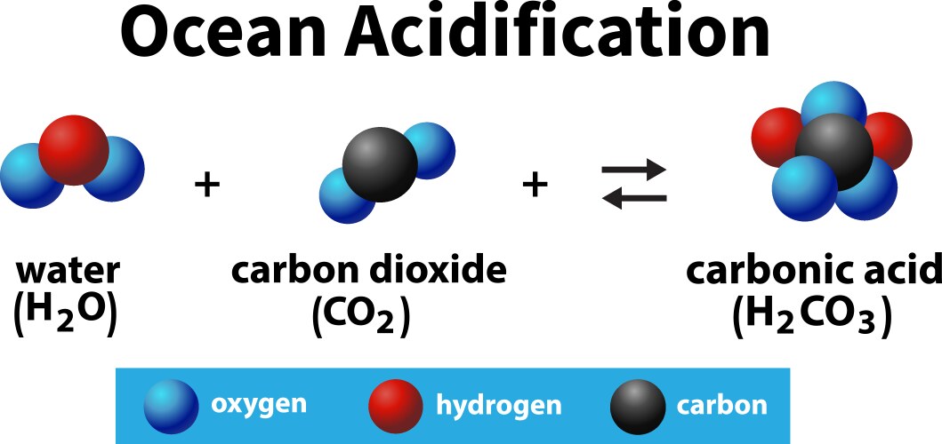 Carbon Cycle Diagram Vector Images (over 150)