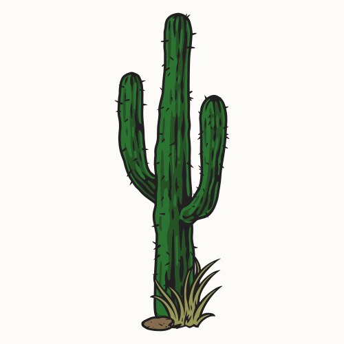Cactus Vector Images & Graphics for Commercial Use | VectorStock