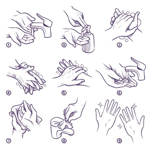 Hand washing instructions black and white Vector Image