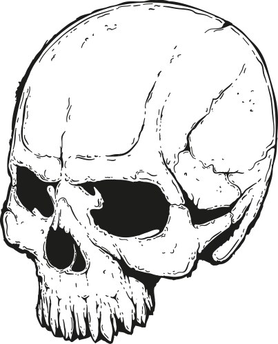 Skull Front Facing Vector Images (over 2,200)