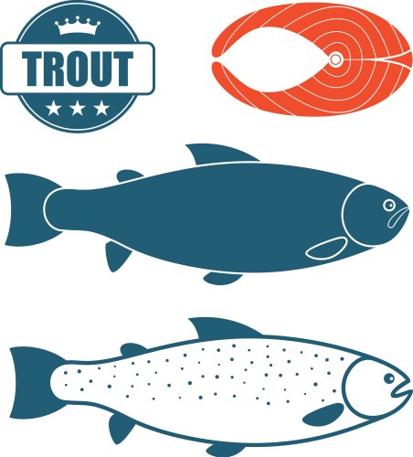 Trout Vector Images (over 13,000)