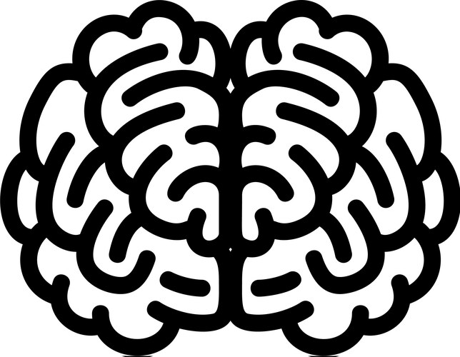 Labeled Diagram of the Brain Vector Images (over 250)