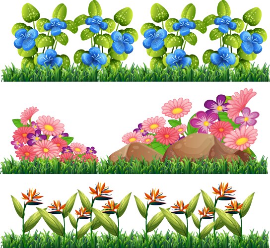 Flower clipart set Royalty Free Vector Image - VectorStock