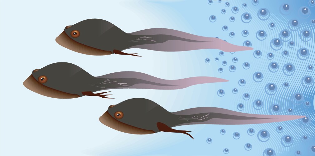 Smiling green baby tadpole Royalty Free Vector Image