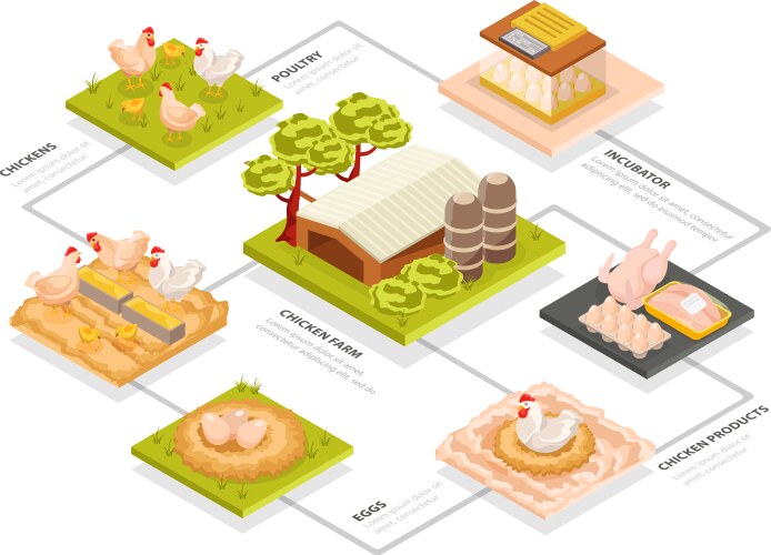 Poultry production isometric set Royalty Free Vector Image