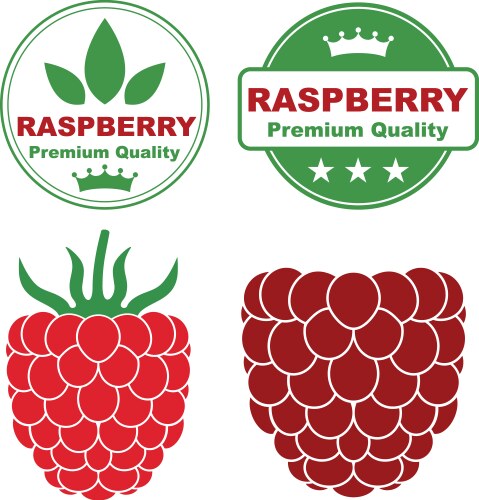 Fresh raspberry cartoon Royalty Free Vector Image