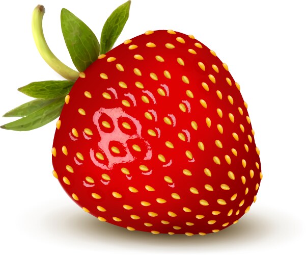 Strawberry Vector Images (over 130,000)