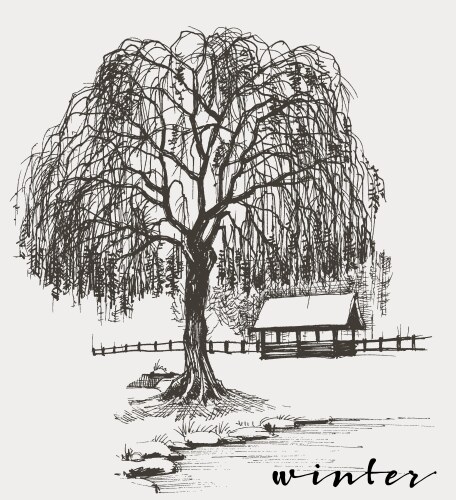 Trees on lake shore or river bank drawing Vector Image