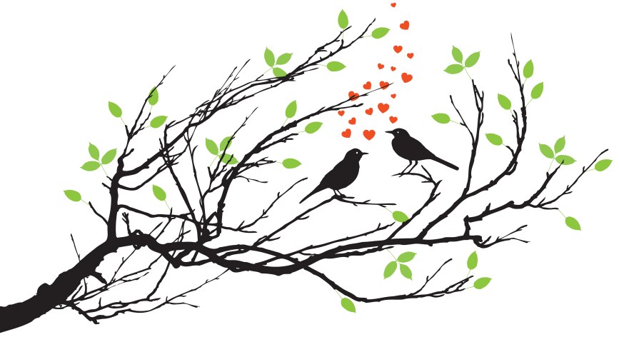 Tree with photo frames and birds Royalty Free Vector Image