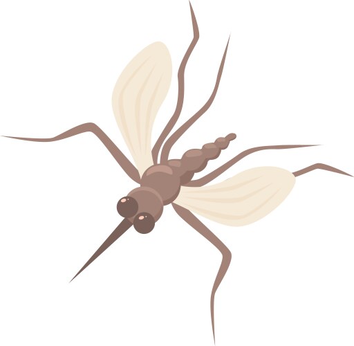 Mosquito spreading malaria disease by biting skin Vector Image