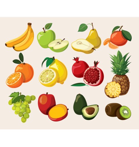 Fruit Vector Images (over 860,000)