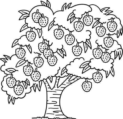 Walnut tree fruit plant isolated coloring page Vector Image