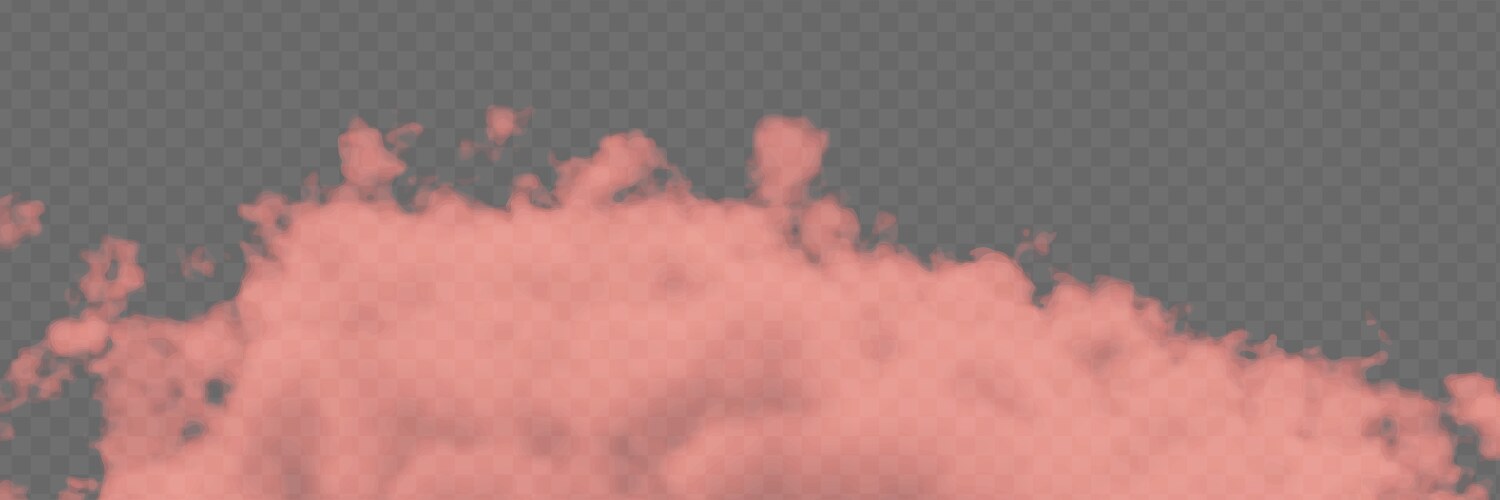 Transparent special effect stands out with fog Vector Image