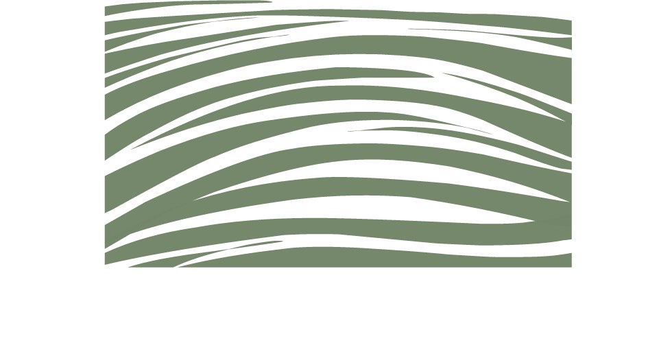 Abstract background with watercress colors Vector Image