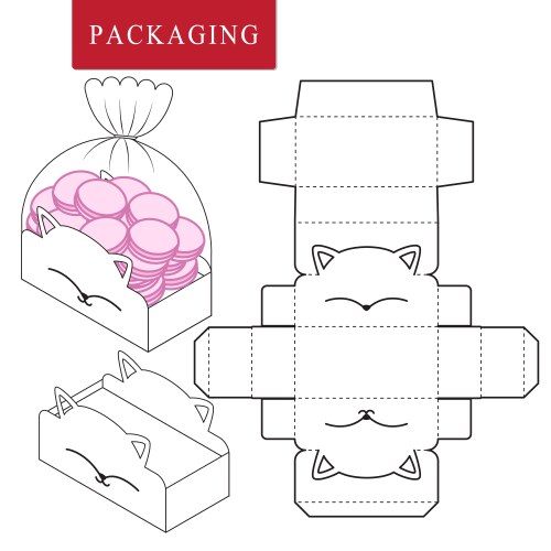 Boxpackage template isolated Royalty Free Vector Image