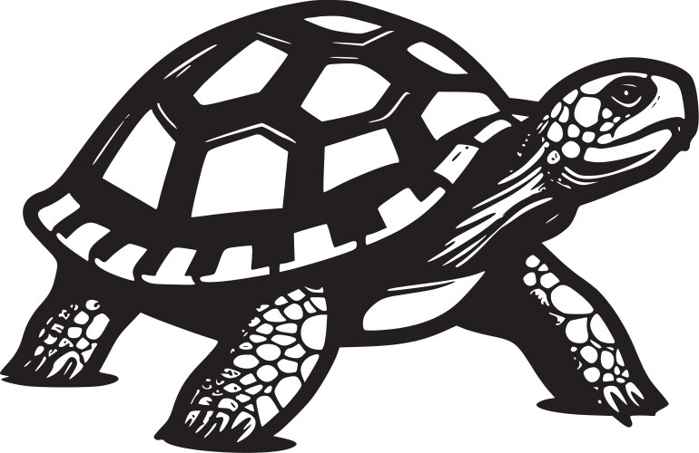 Turtle Outlines Vector Images (over 6,700)