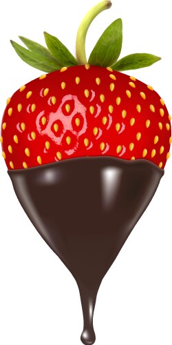 Strawberry and chocolate dipped Royalty Free Vector Image