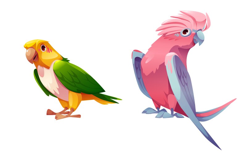 Parrot Vector Images (over 35,000)