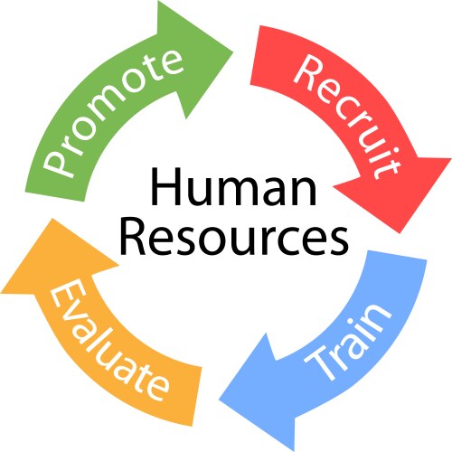 Human resources design Royalty Free Vector Image