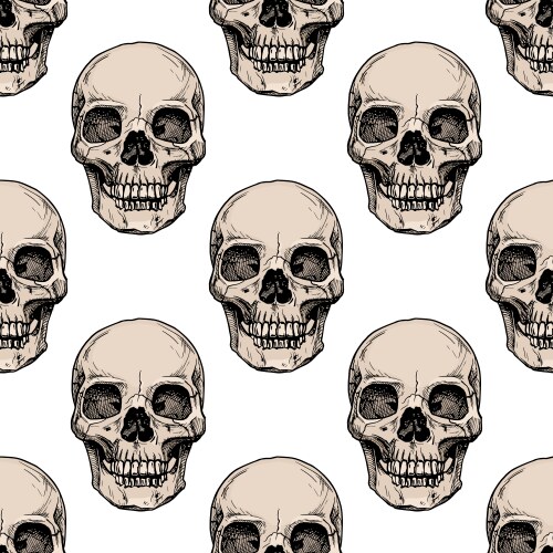 Skull pattern Royalty Free Vector Image - VectorStock