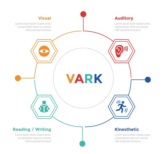 Vark learning styles infographics template Vector Image