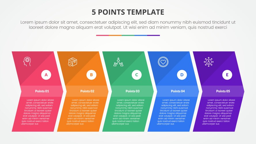 5 points stage template infographic concept Vector Image