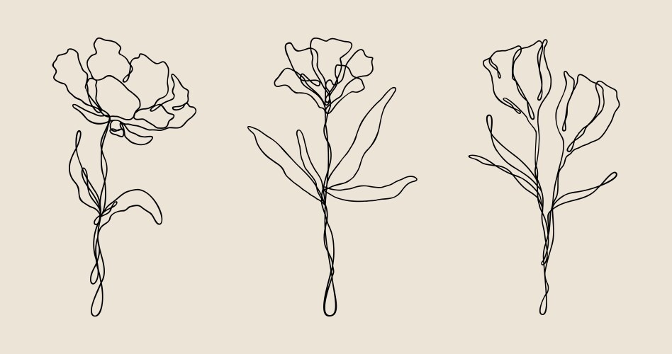 Wildflower line art bundle Royalty Free Vector Image