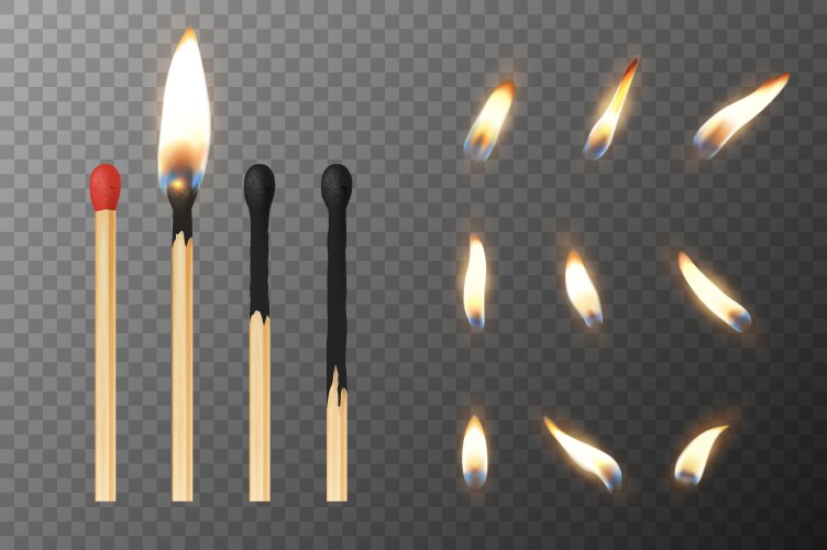 3d realistic match stick icon set closeup Vector Image