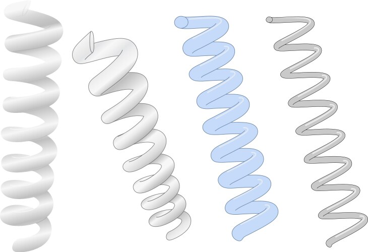 A spring Royalty Free Vector Image - VectorStock