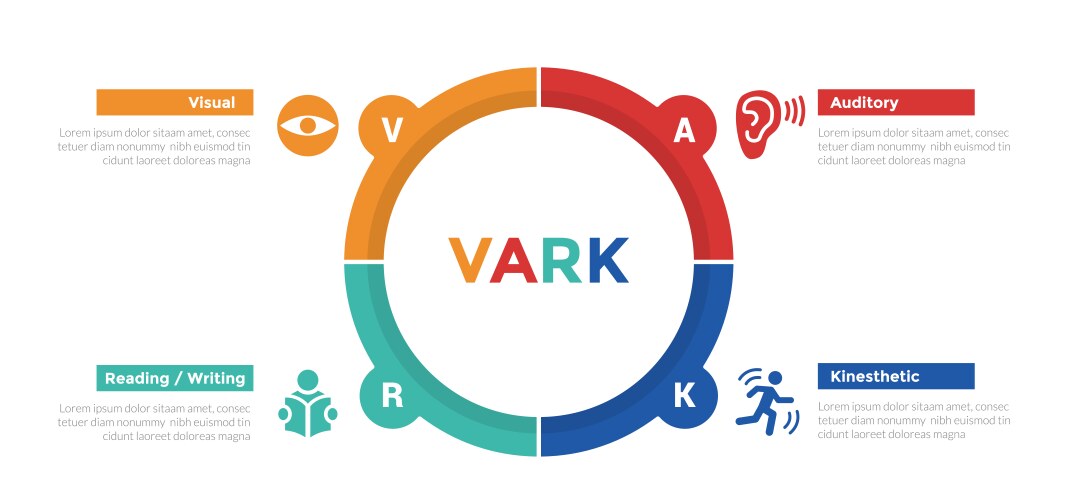 Vark learning styles infographics template Vector Image Vark learning styles infographics template Vector Image
