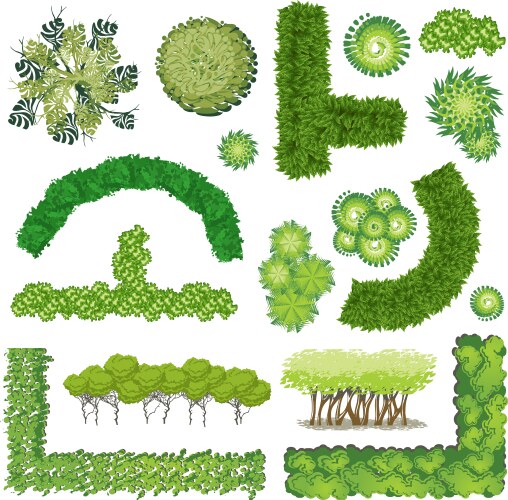 Plants Top View Architect Vector Images (over 120)