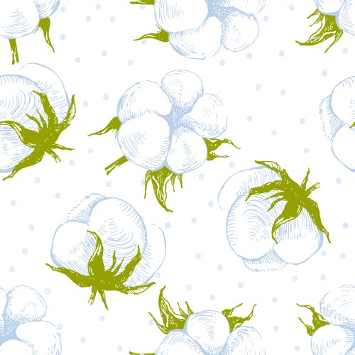 Seamless cotton plant Royalty Free Vector Image