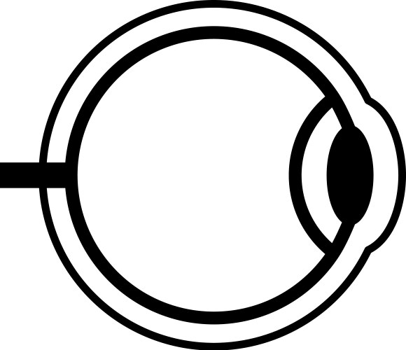 Eye Diagram Anatomy Vector Images (over 2,000)
