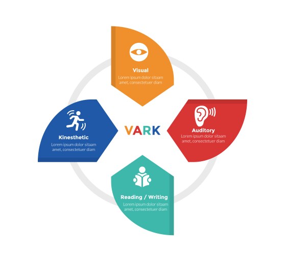 Vark learning styles infographics template Vector Image
