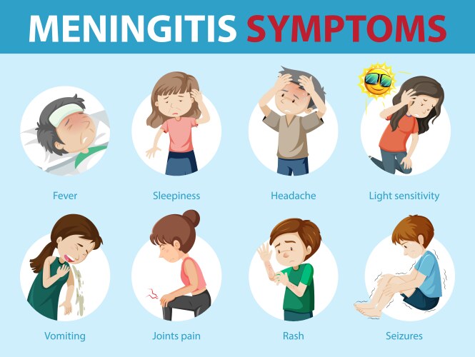 Meningitis Symptoms - Cartoon Infographic – Royalty-Free Vector ...
