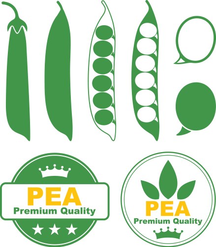 Pea Plant Vector Images (over 10,000)