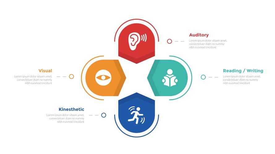 Vark learning styles infographics template Vector Image