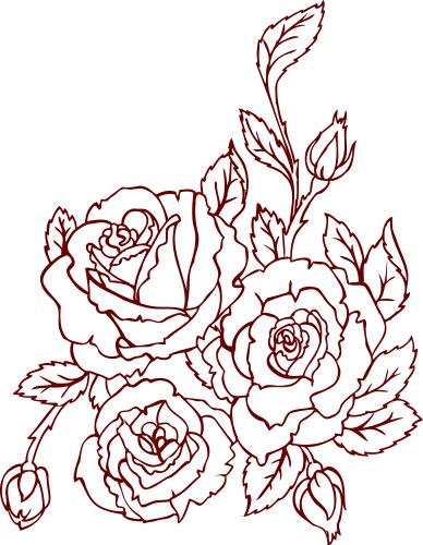 Three roses line art Royalty Free Vector Image