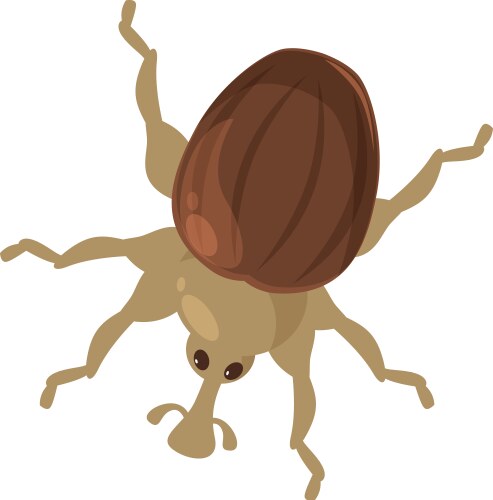 Brown termite insect crawling with six legs Vector Image