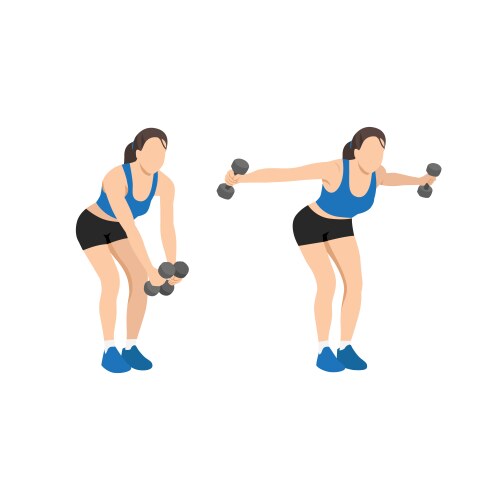 Woman doing lateral side shoulder dumbbell raises Vector Image
