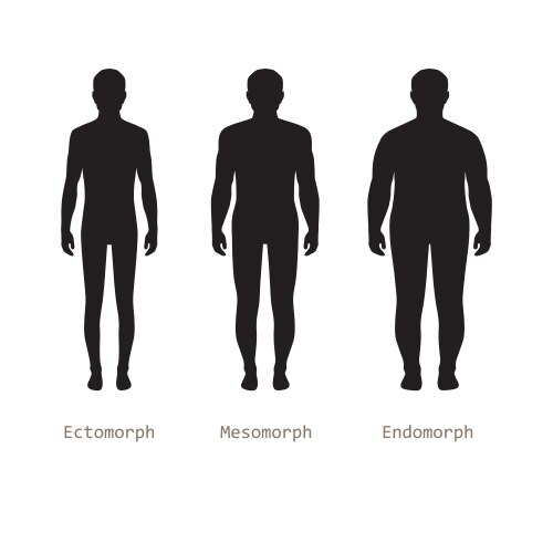 Male Body Vector Images (over 120,000)