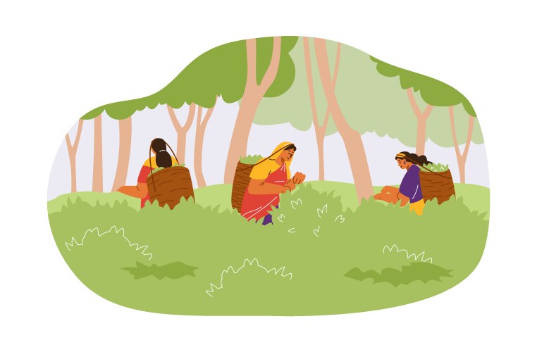 Indian Village Woman Vector Images (over 350)